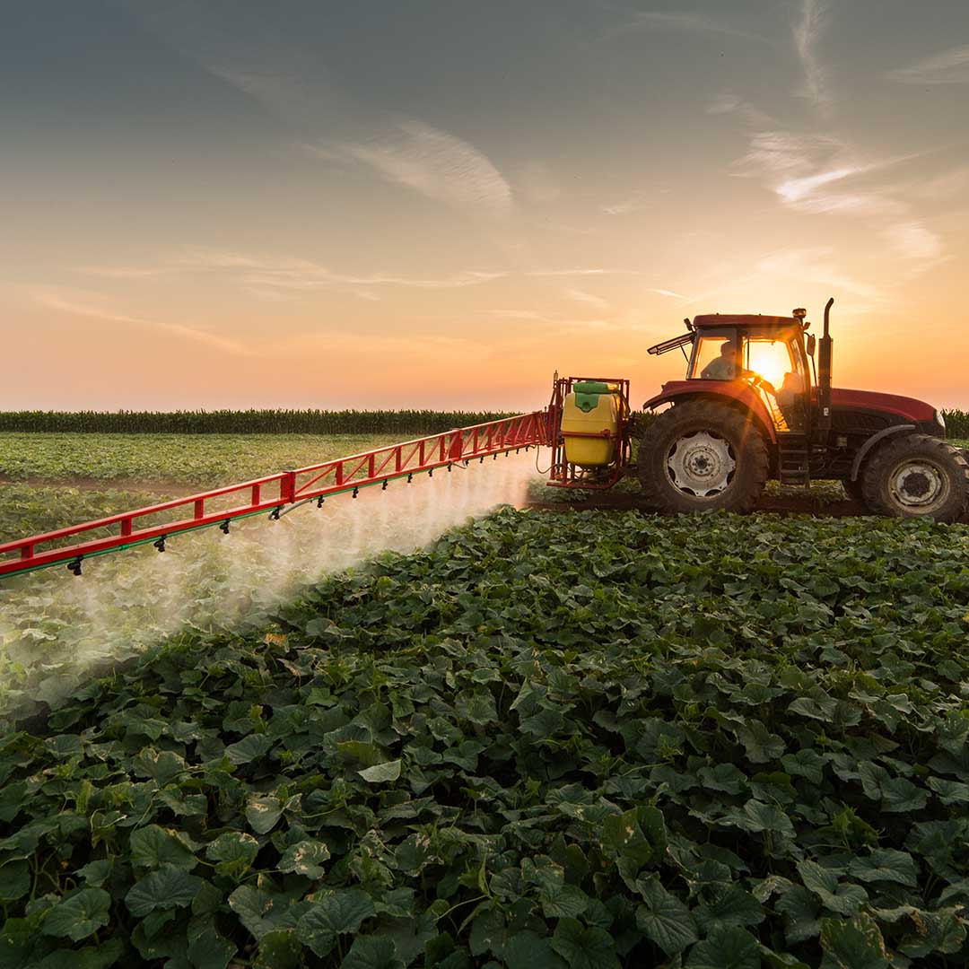 Analiza pozostałości środków ochrony roślin (pestycydów) - GBA POLSKA