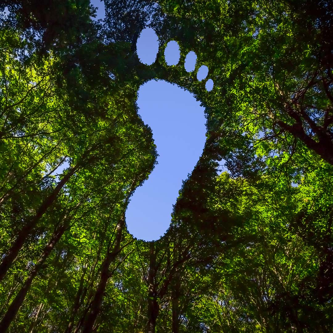 Carbon footprint - Laboratory tests GBA Poland