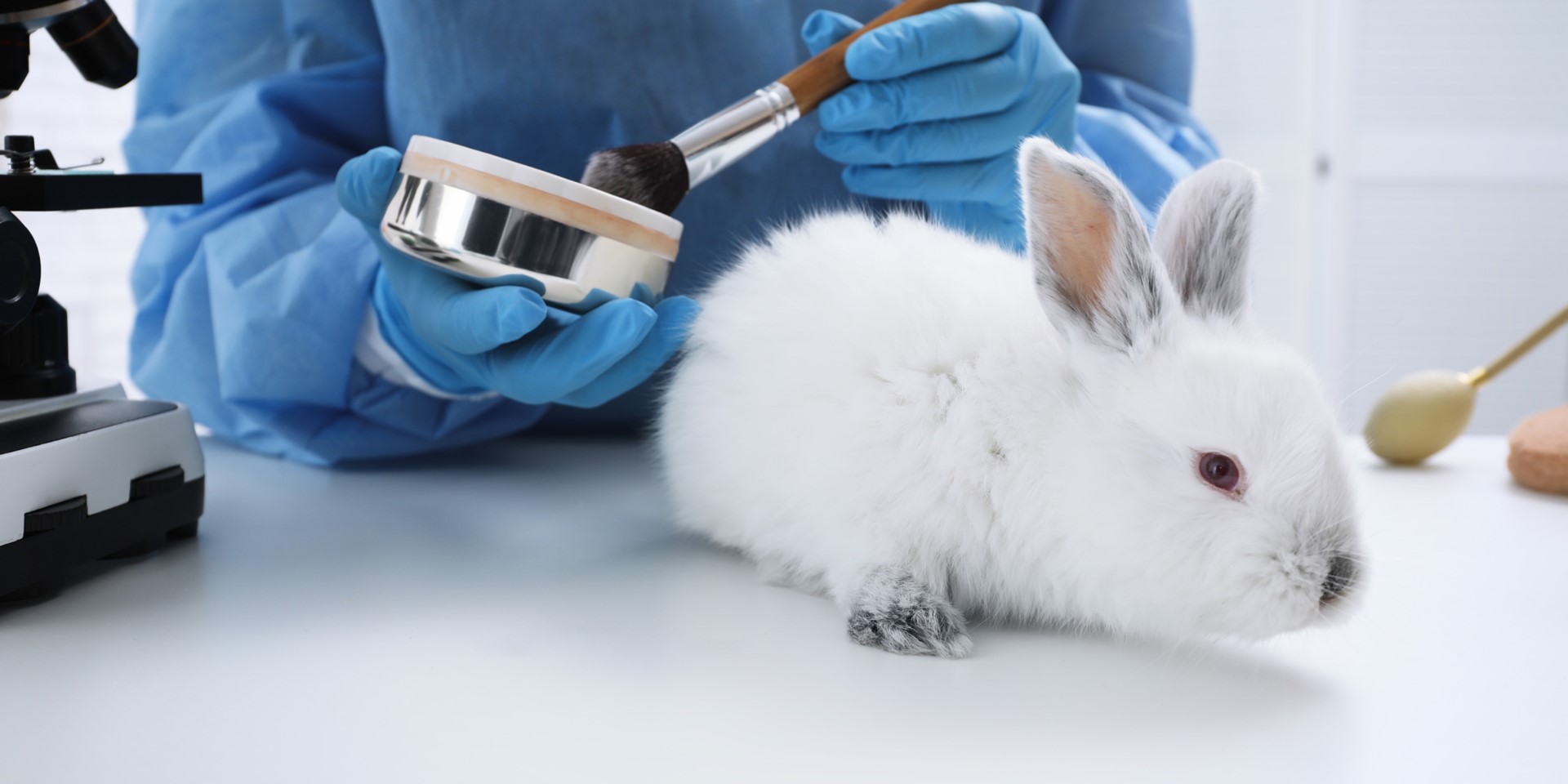 The prohibition of animal testing in the EU cosmetics industry - a ...